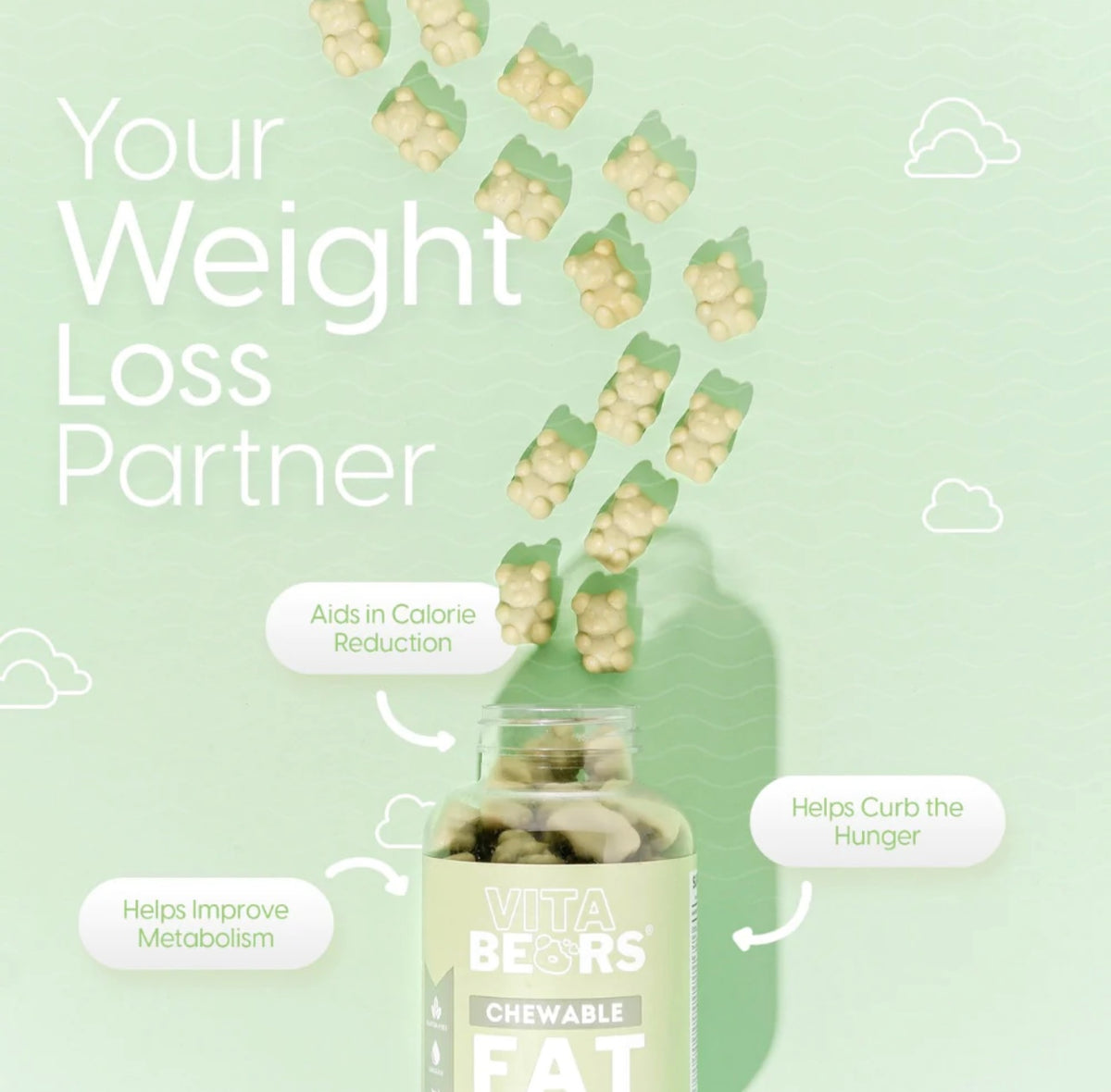 Vita Bears - FAT BUSTER ( Green ) – My Care Kits